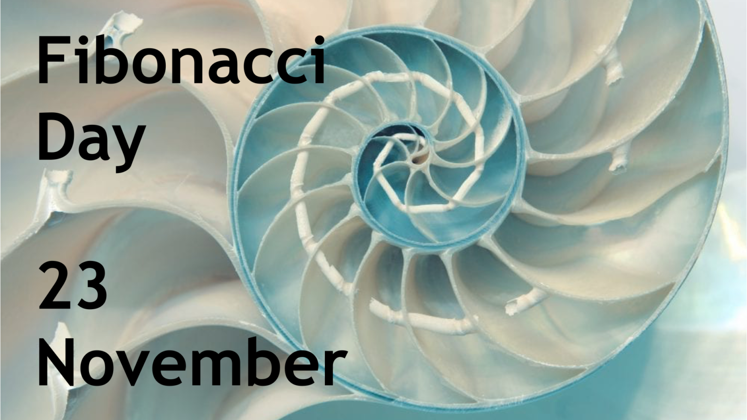 Fibonacci Day – Maths Society