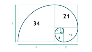 Leonardo Fibonacci – Maths Society