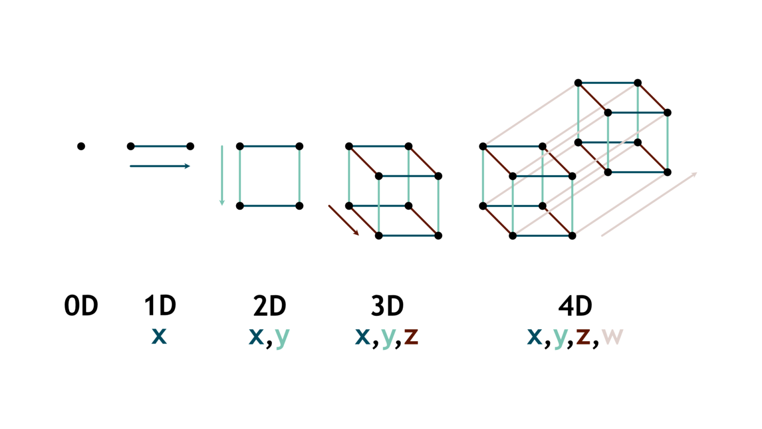 How can you have 4D Shapes? – Maths Society
