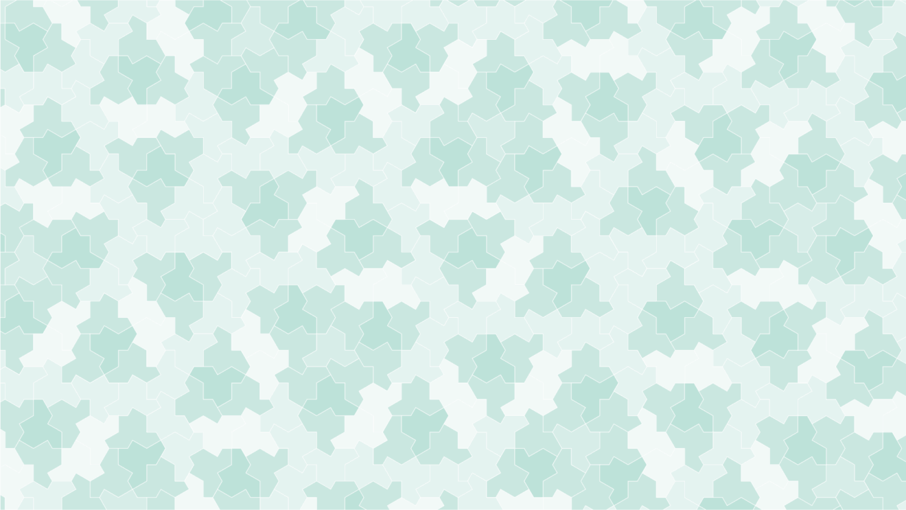 Einstein tiling – Maths Society