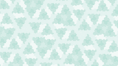 Einstein tiling – Maths Society