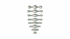 Million Dollar Question: The Poincaré Conjecture – Maths Society